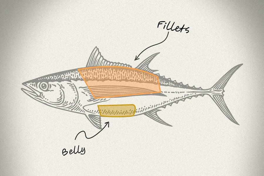 Tuna Fillets, Belly or Chunk? Difference between tuna chunks and steak ...
