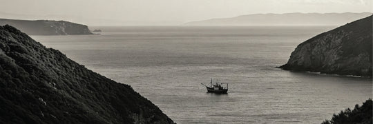 The Timeless Tin - handverlesene Auswahl an Fischkonserven – TheTimelessTin