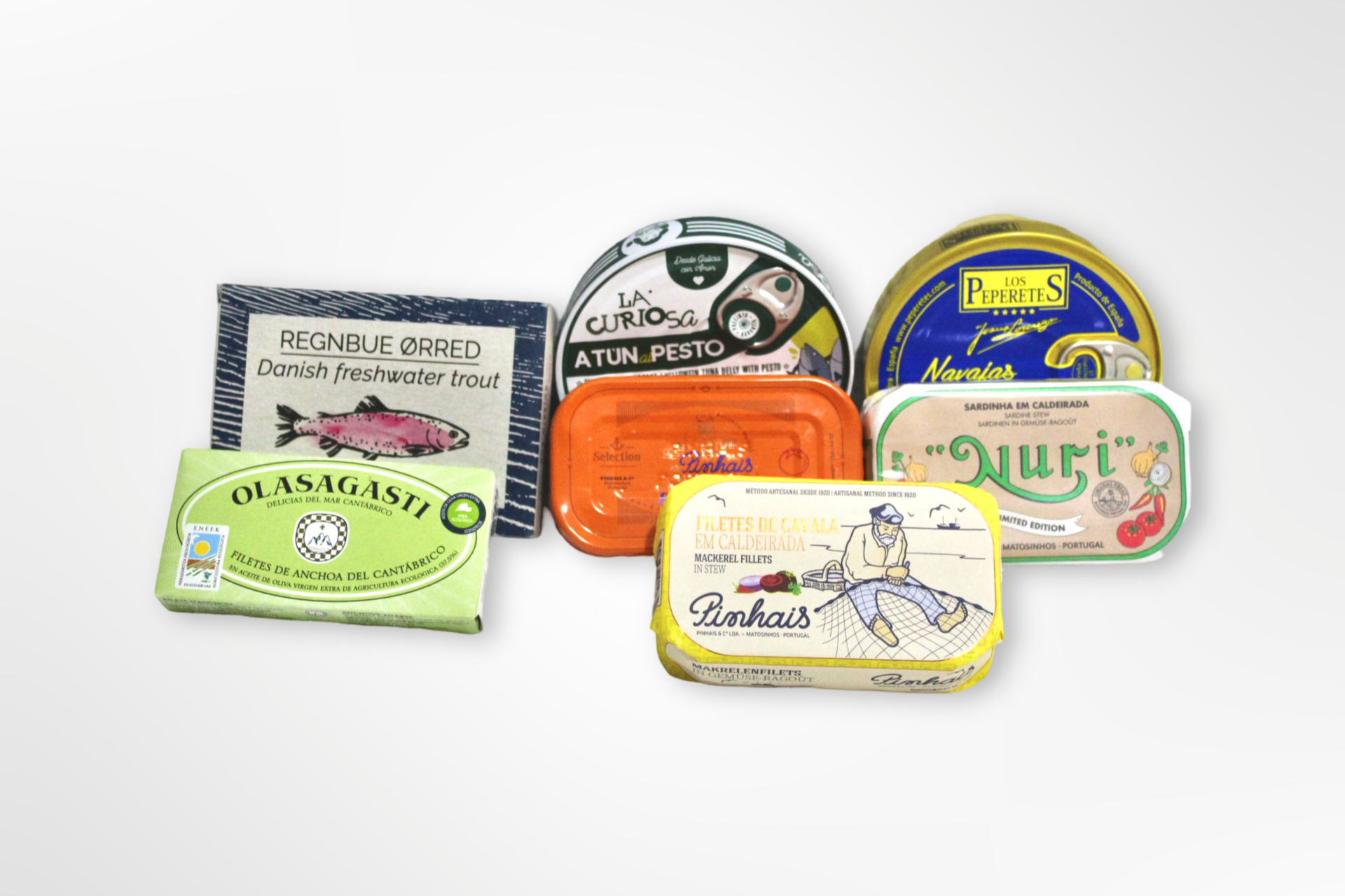 Grand Bloom Collection – TheTimelessTin