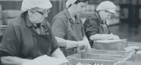 The Timeless Tin Manifesto – TheTimelessTin